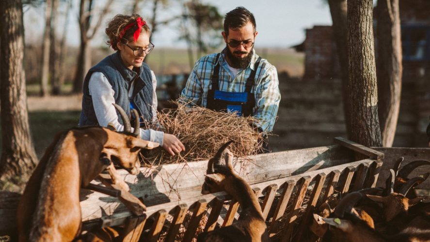 15 Fun & Best Things to Do in Turlock, California – Local Turlock